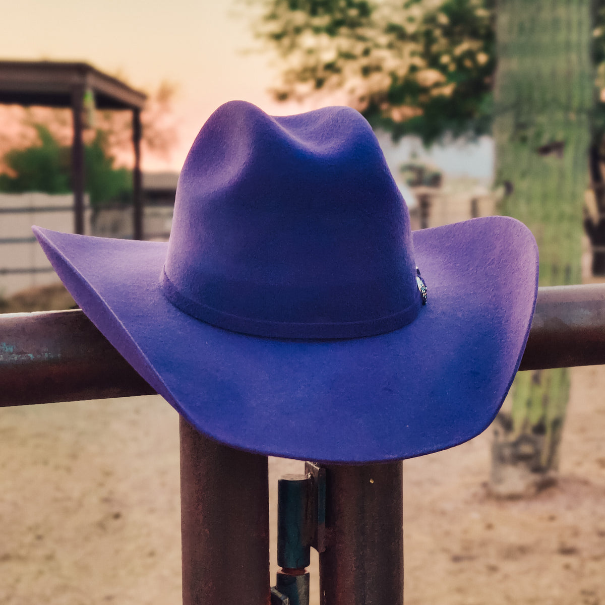 Rodeo Royalty 4x Felt in Royal Purple – TGC Brands