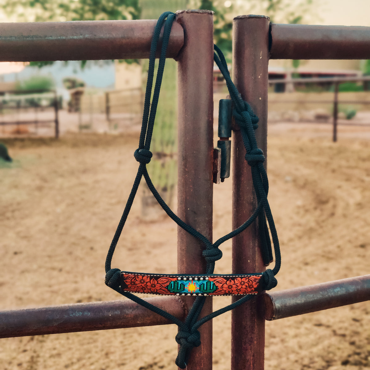 Beaded Cactus Rope Halter – TGC Brands