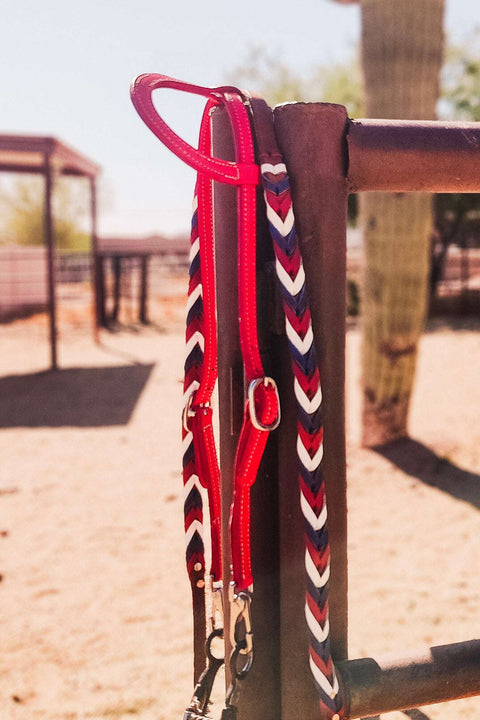 Red Leather Quick Change Working Headstall – TGC Brands