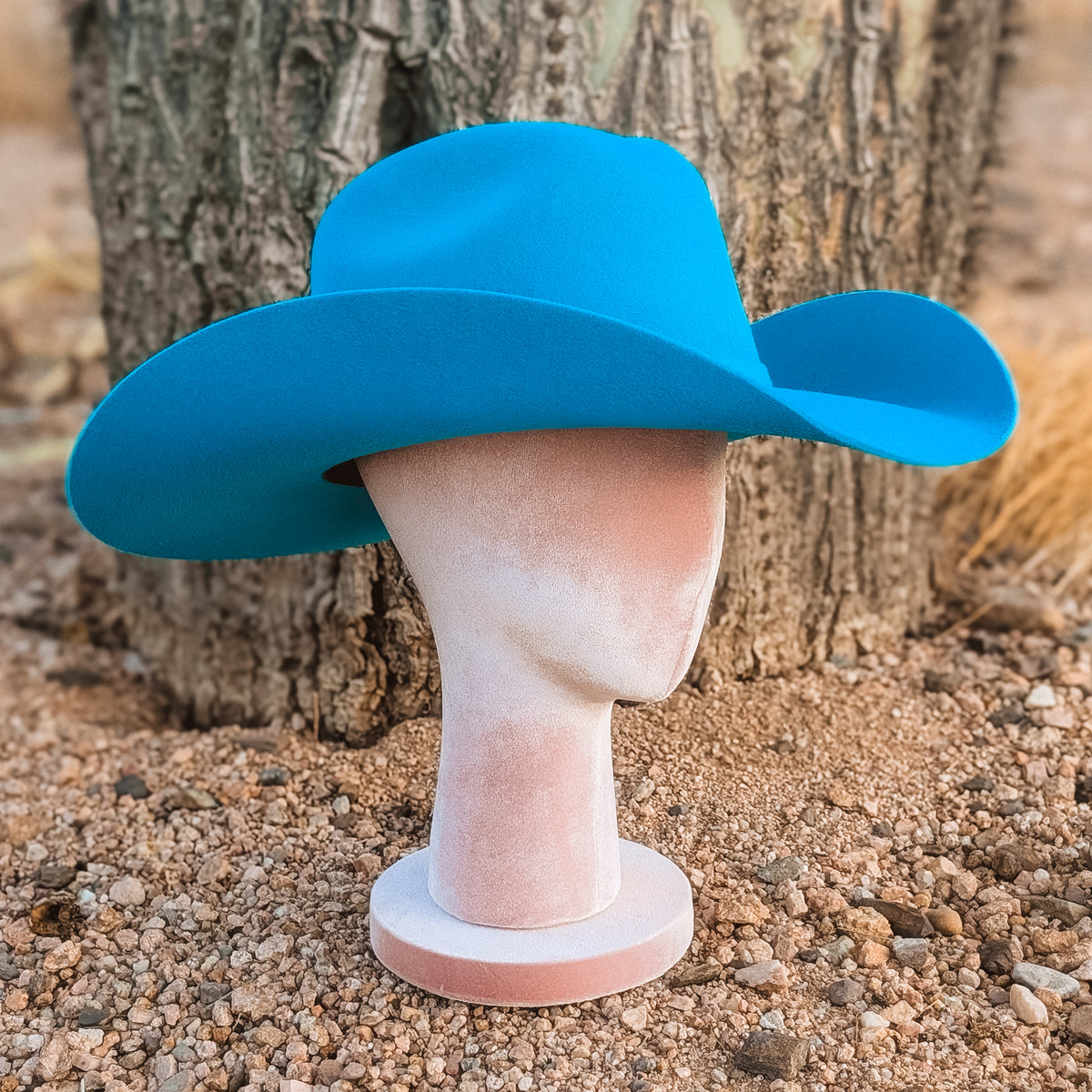Rodeo Royalty 4x Felt in Turquoise – TGC Brands