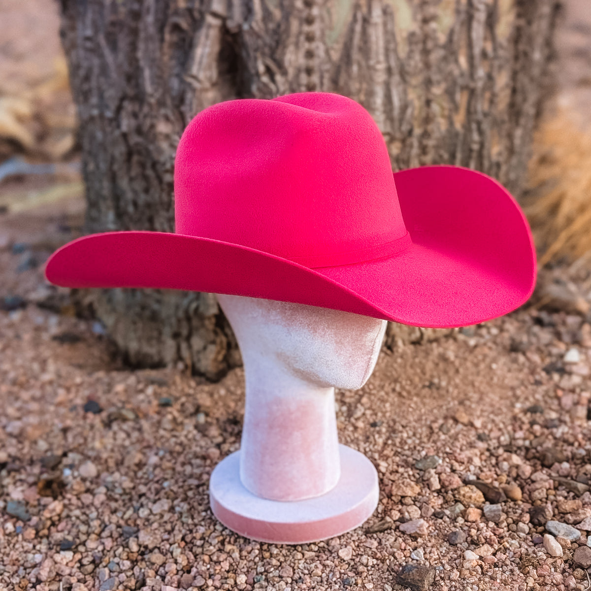 Rodeo Royalty 4x Felt in Flamingo – TGC Brands