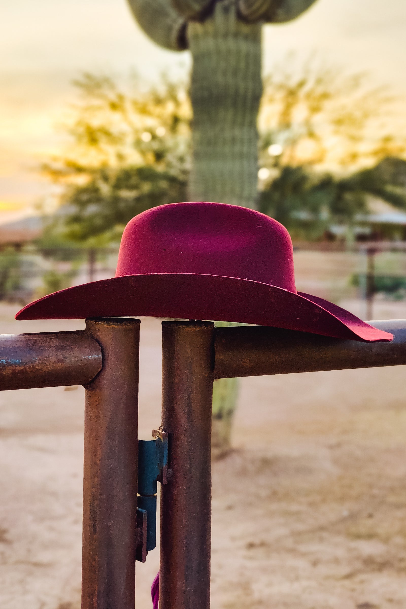 Cowboy Hats by The Glamorous Cowgirl – TGC Brands