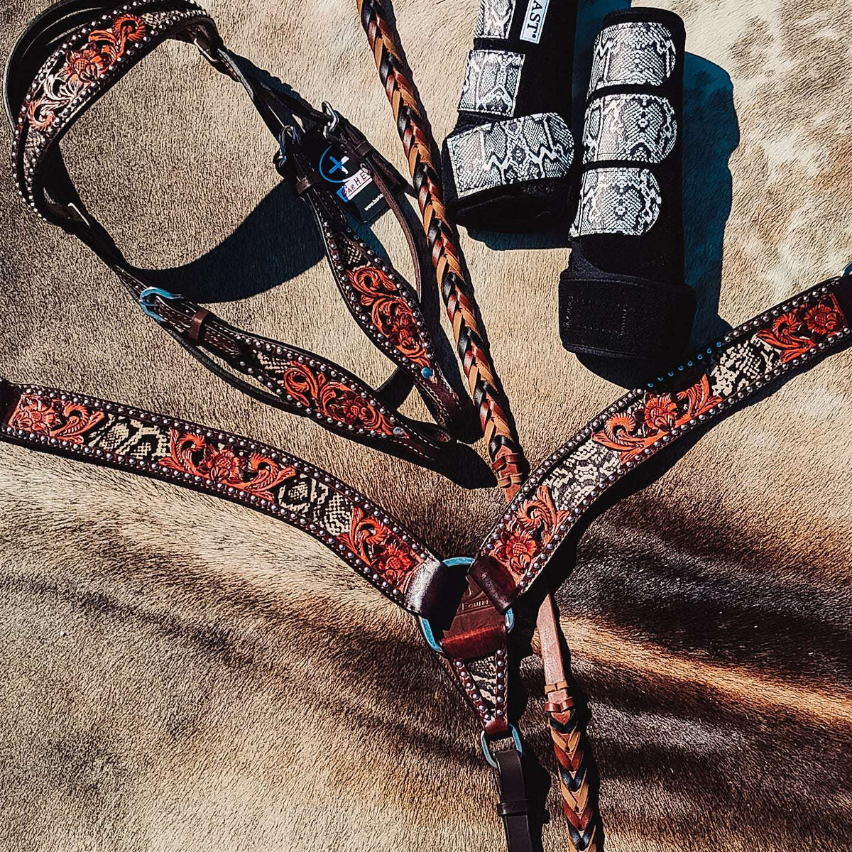 The Python Tack Collection – TGC Brands